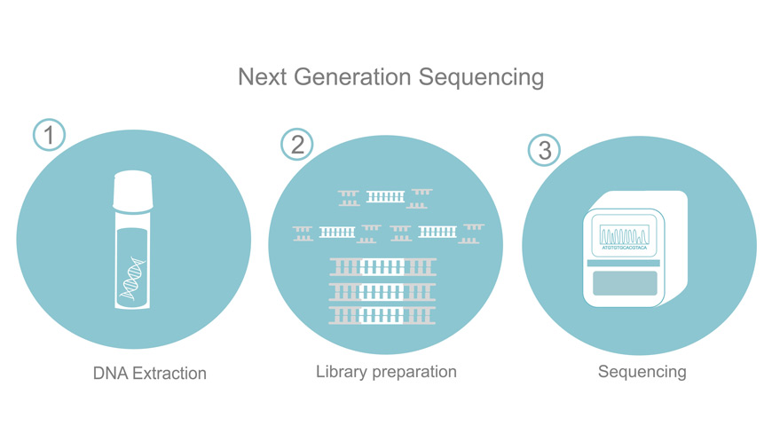 Next-generation sequencing for adventitious virus detection in ...