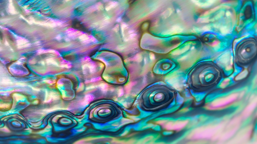 Webinar “using Recombinant Factor C For Bacterial Endotoxin Testing In